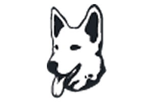 Ano da Erradicação da Pobreza Extrema no Brasil - Assuntos Gerais ...